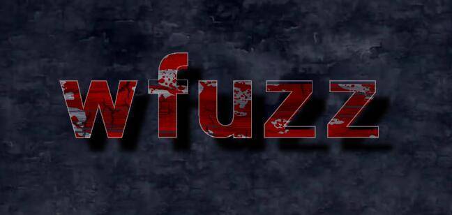 wfuzz 的安装|用法介绍 渗透测试工具之fuzz - 🔰雨苁ℒ🔰
