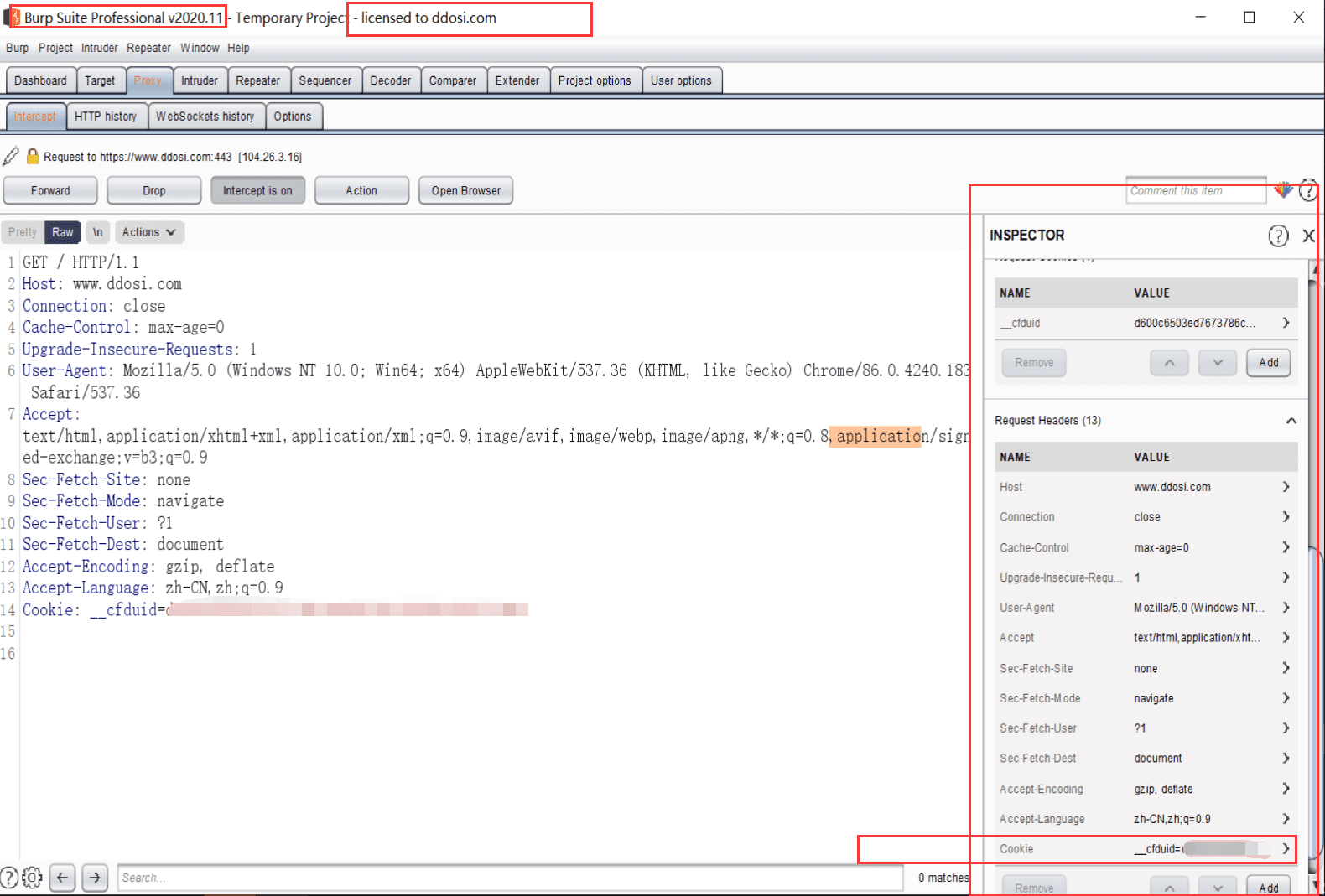 BurpSuite2020.11破解版下载build4810 cracked - 🔰雨苁ℒ🔰