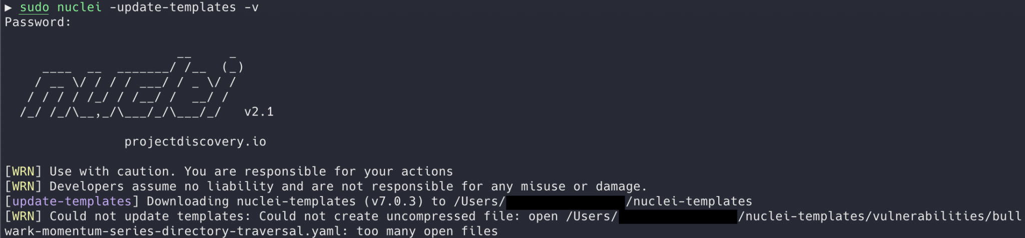 Nuclei-模块化|高度可定制漏洞扫描工具 - 🔰雨苁ℒ🔰