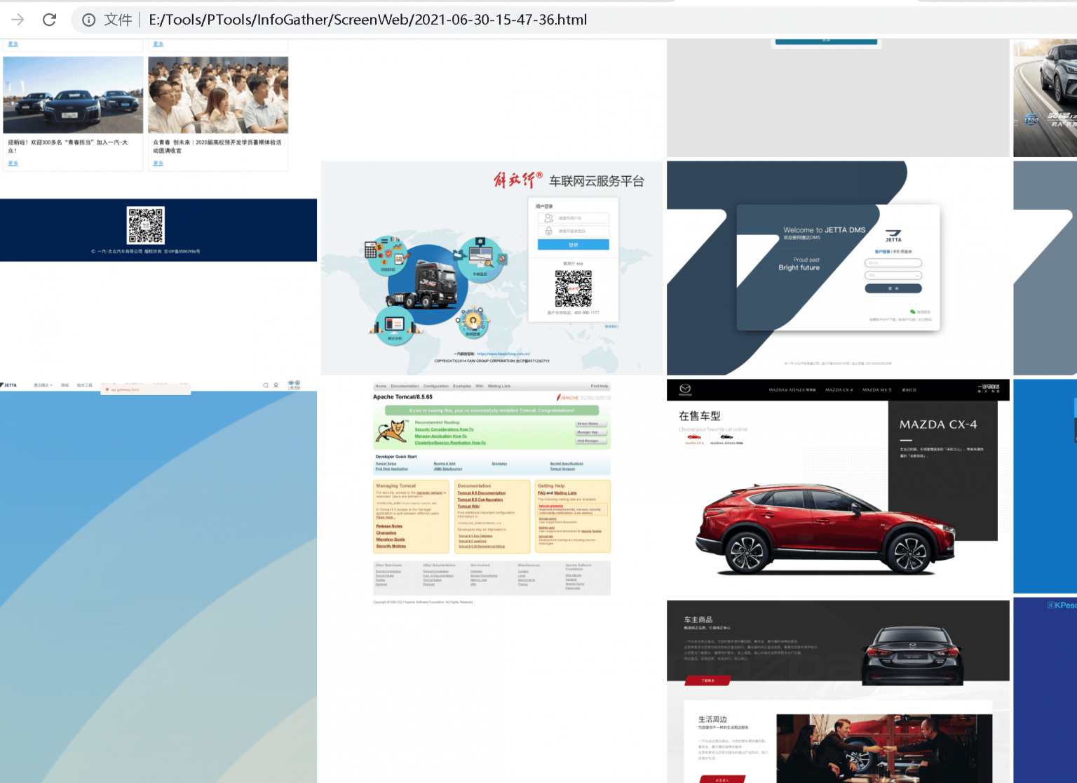 WebScreen-网站批量截图工具|探测存活web并截图保存为html - 🔰雨苁ℒ🔰